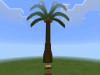 Palm Tree Minecraft Map