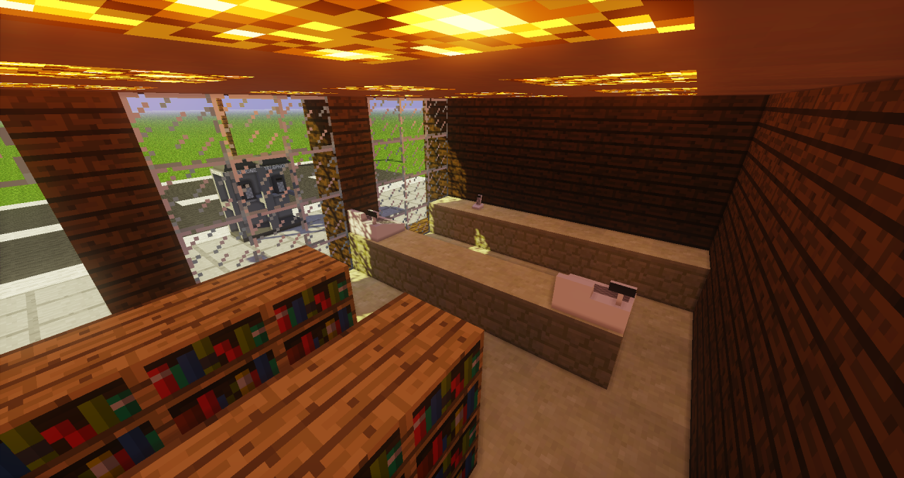 [1.10.2][FORGE]Saracalia's Random Stuff Mod! - Extra Decorations for your Minecraft World ...