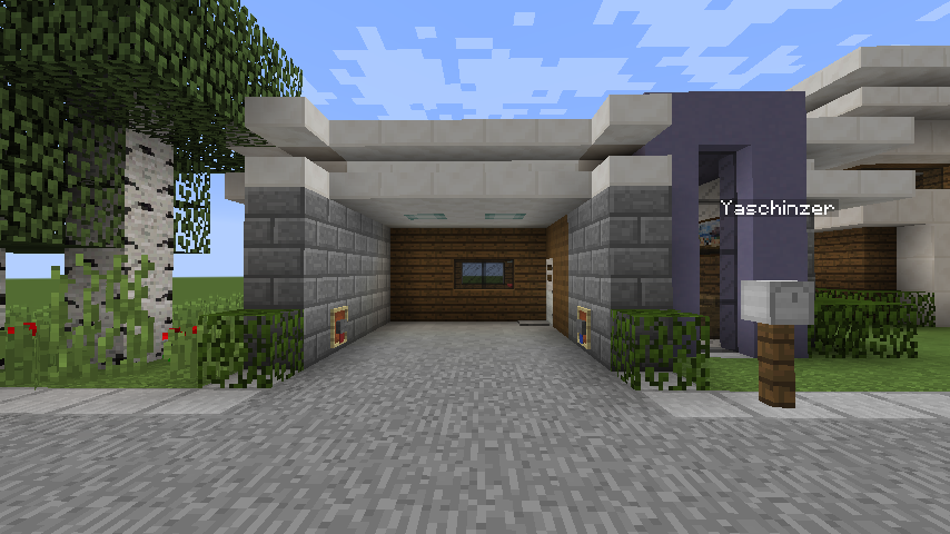 The Subdivision Project Minecraft Map