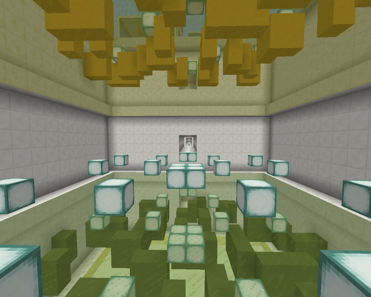 Reflections Map Minecraft Map