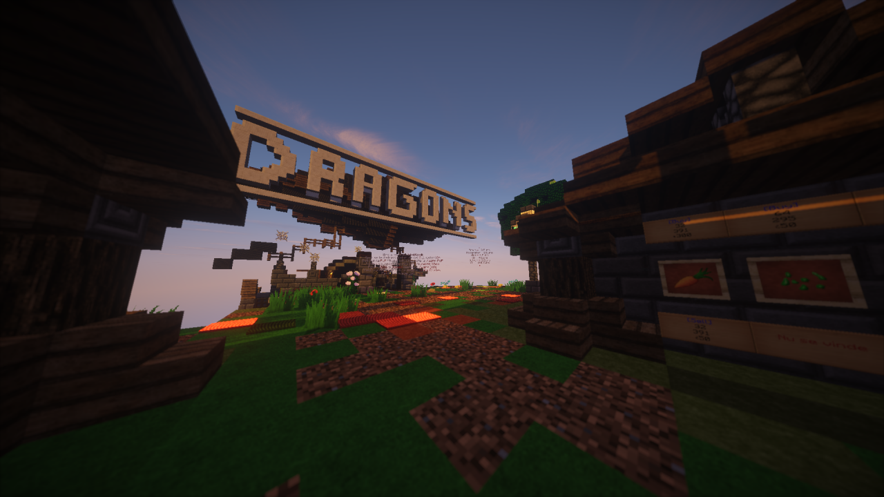 Dragons Network Minecraft Server