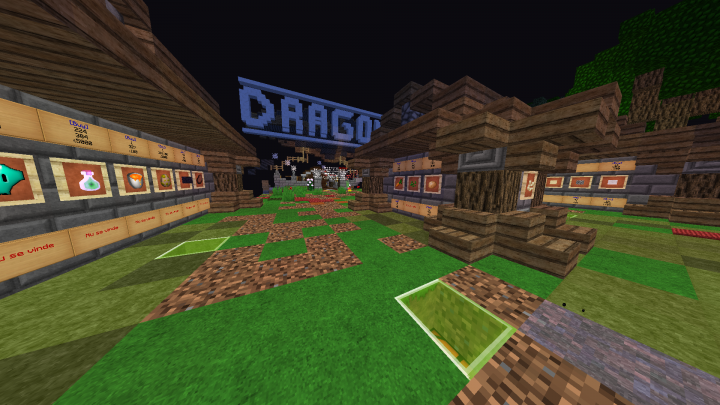 Dragons Network Minecraft Server