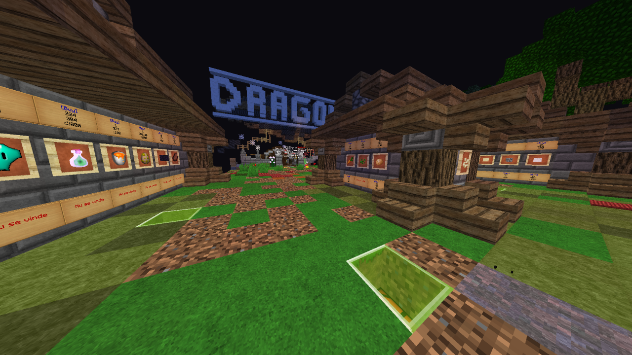 Dragons Network Minecraft Server