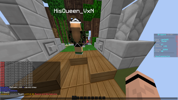 Dragons Network Minecraft Server