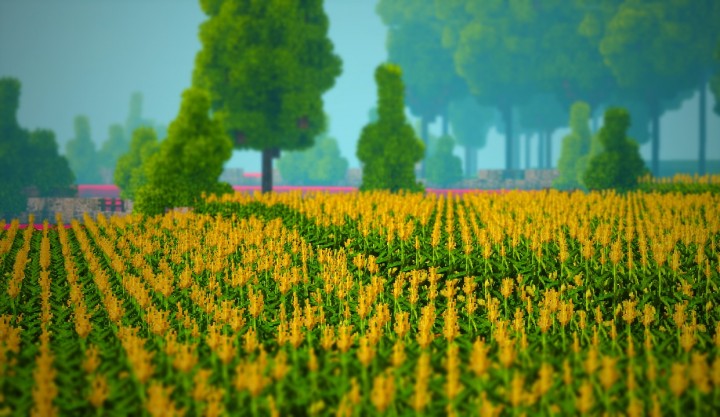 Ardelencia, Star fort, To defend a plain Minecraft Map