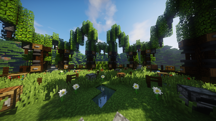 Spawn jungle Minecraft Map