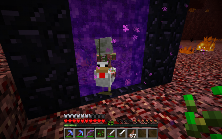 Interview with Wemnix