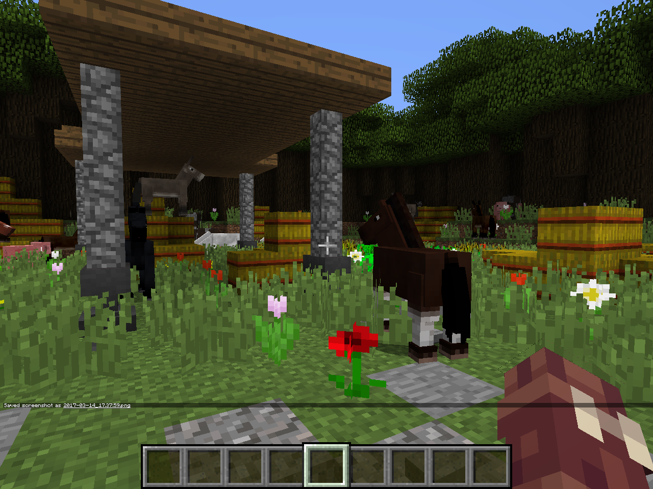 Renovated Village Minecraft Map