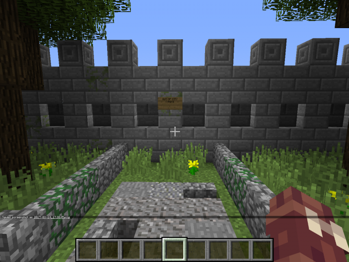 Renovated Village Minecraft Map