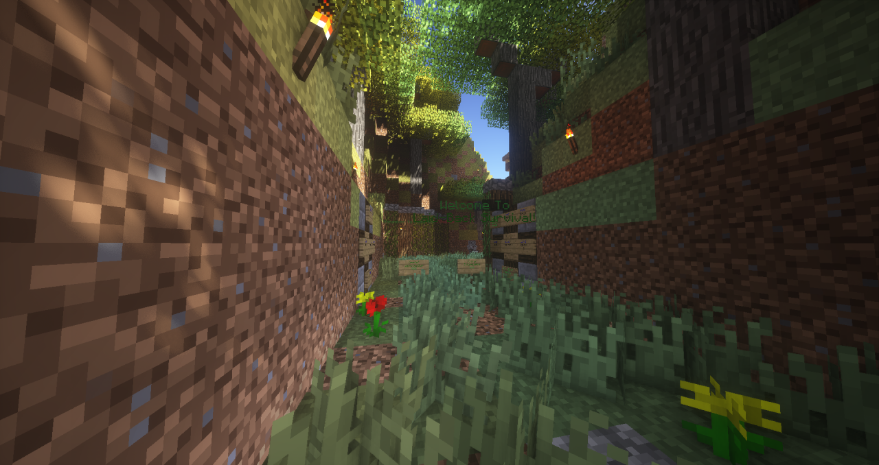 Laid-Back Survival Minecraft Server