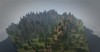 256x256 Pine forest Minecraft Map