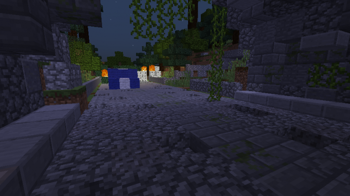 The woods Minecraft Map