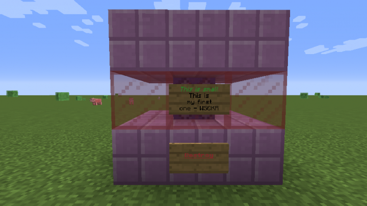 My first Minecraft Custom Command!!