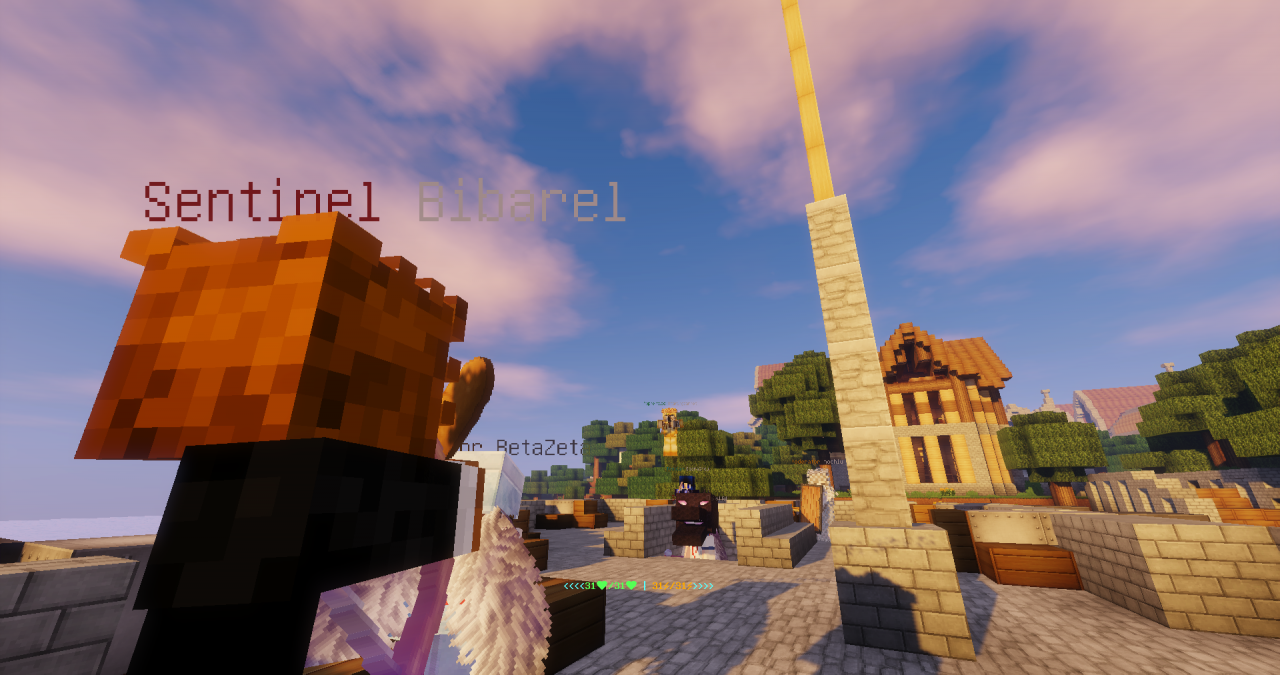 Tiny Towny | 1.12 Minecraft Server