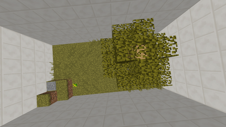 Find the Button Minecraft Map