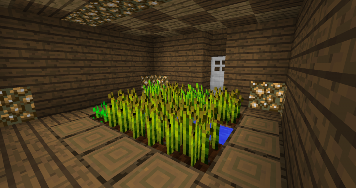 Find The Button : No Command Blocks Edition Minecraft Map