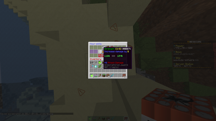 Insanecraft Minecraft Server