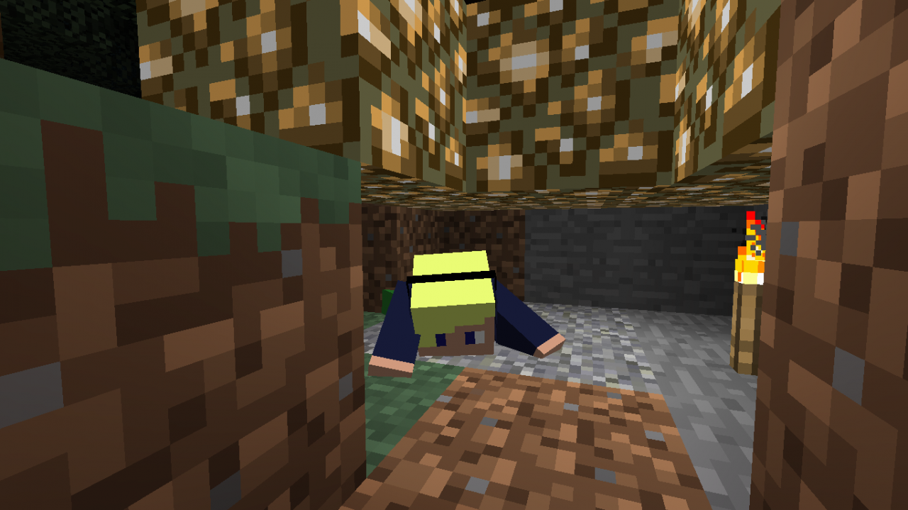 Better Hide 'n' Seek (Smart moving map) Minecraft Map