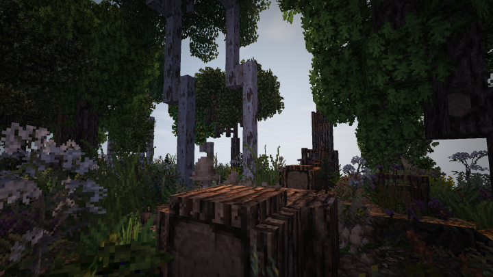 Open fantasy forest Minecraft Map