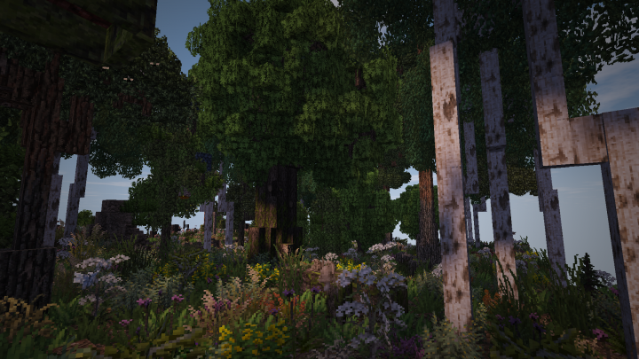 Open fantasy forest Minecraft Map