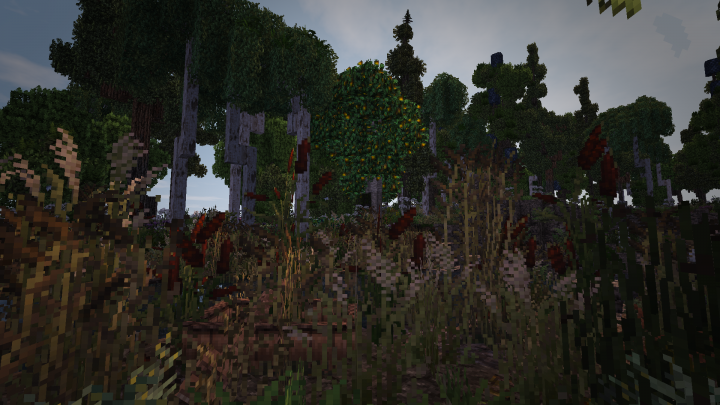 Open fantasy forest Minecraft Map