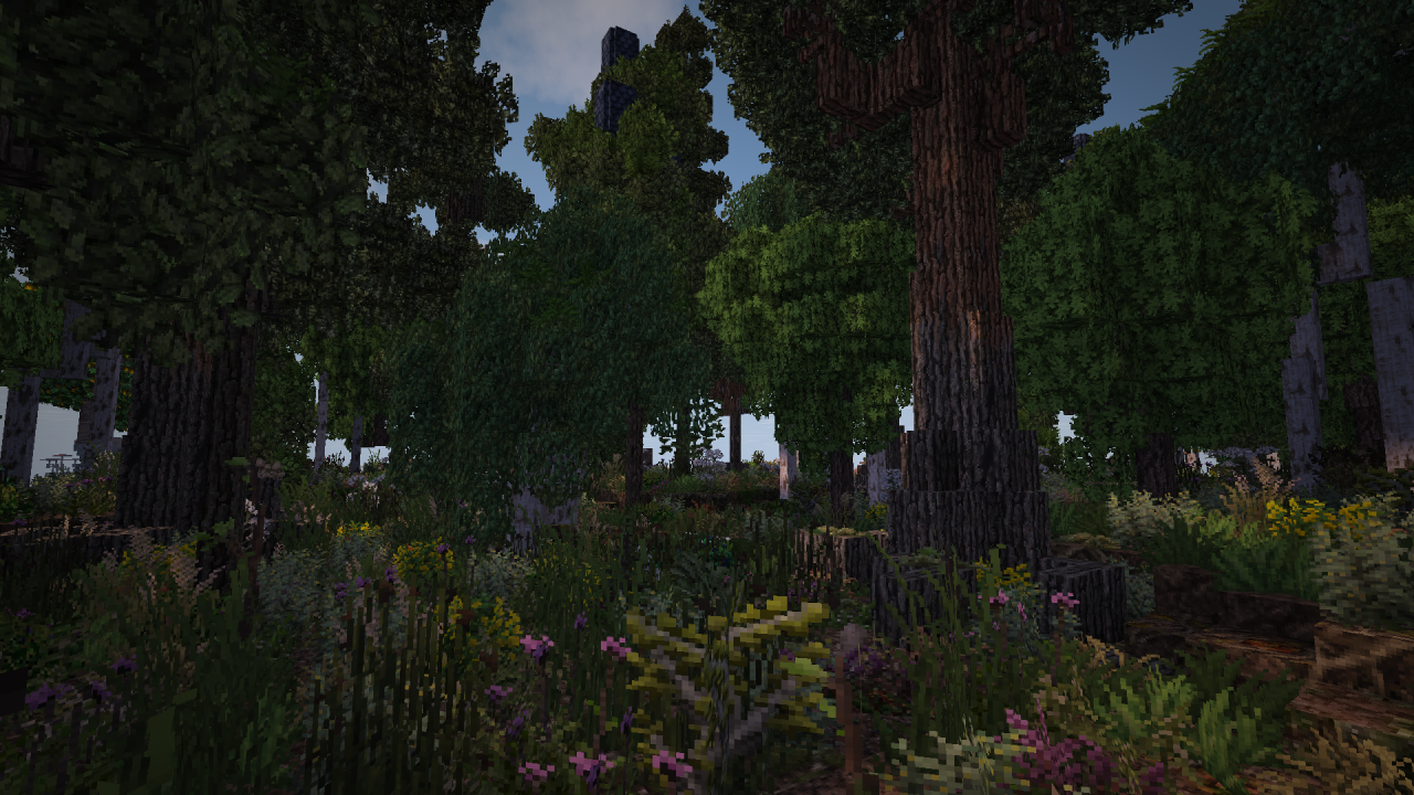 Open fantasy forest Minecraft Map