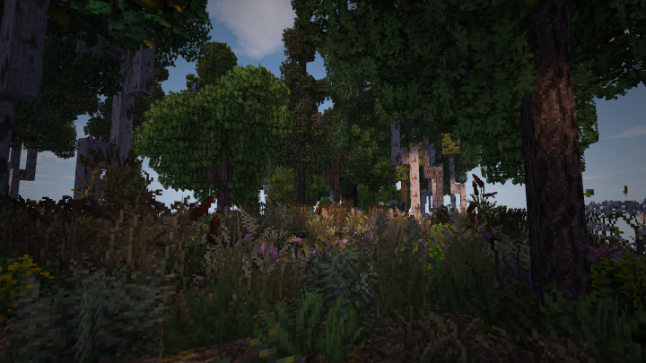 Open fantasy forest Minecraft Map