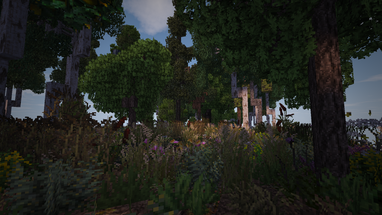 Open fantasy forest Minecraft Map