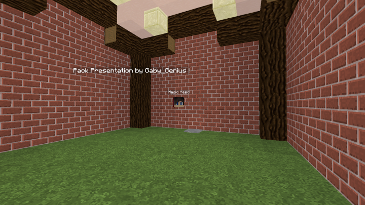 Pack Presentation 1.11 Minecraft Map