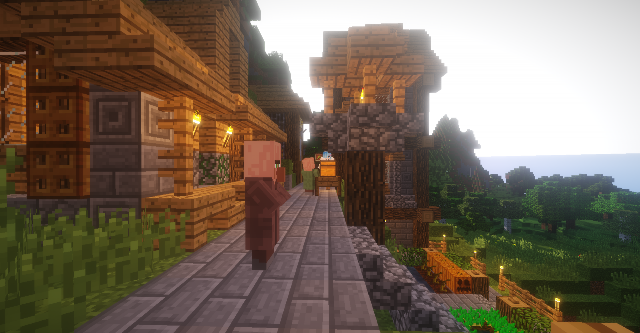 Better Village Minecraft Map