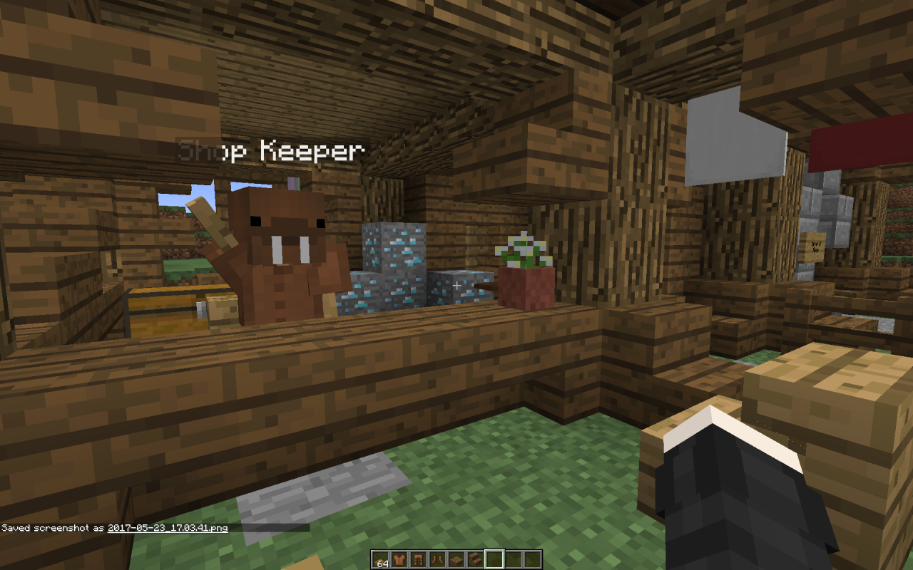 Small Build - Shop and House Minecraft Map