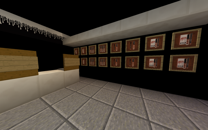 Kylie Cosmetics Store (Custom Textures) Minecraft Map