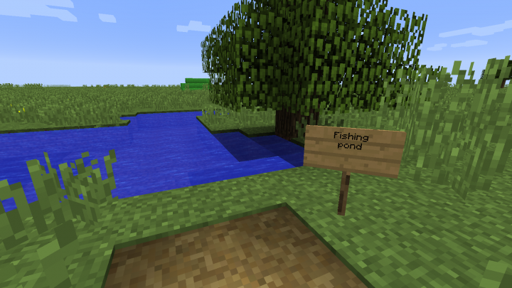 Village Minecraft Map