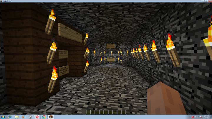 Brain Test Minecraft Map