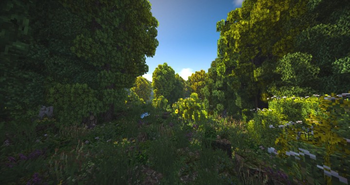 Yarowyn: 16k x 10k #WeAreConquest Minecraft Map