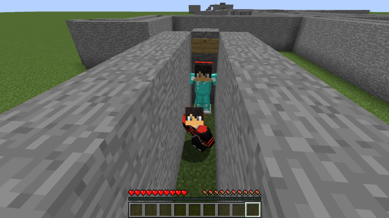 The Maze Minecraft Map