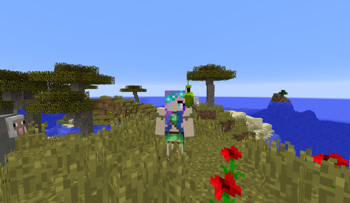 Skyleaf Minecraft Server