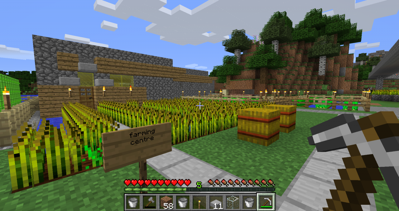 automated farming area. Minecraft Map