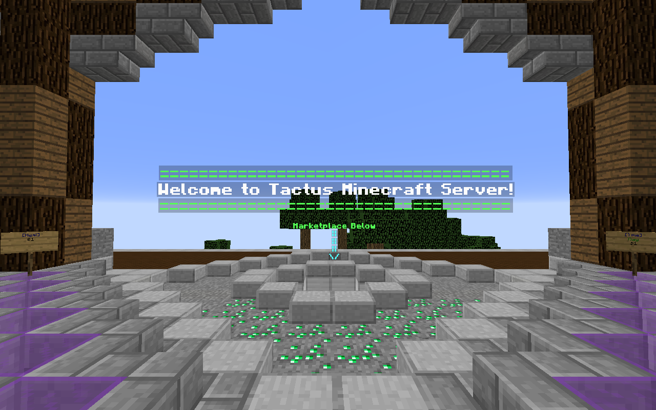 Tactus Minecraft Server
