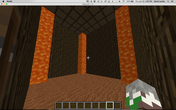 8x Dark Oak Tree! Minecraft Map