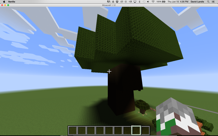 8x Dark Oak Tree! Minecraft Map