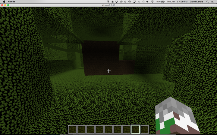 8x Dark Oak Tree! Minecraft Map