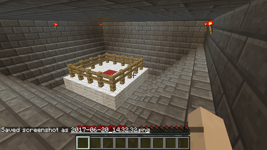 My Boxing Arena Minecraft Map