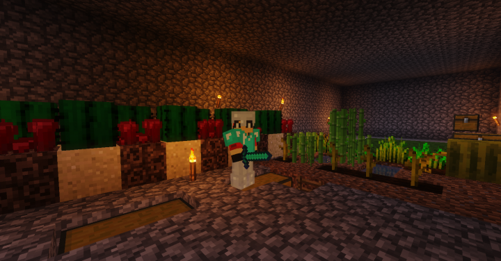 H2O Survival MC Minecraft Server