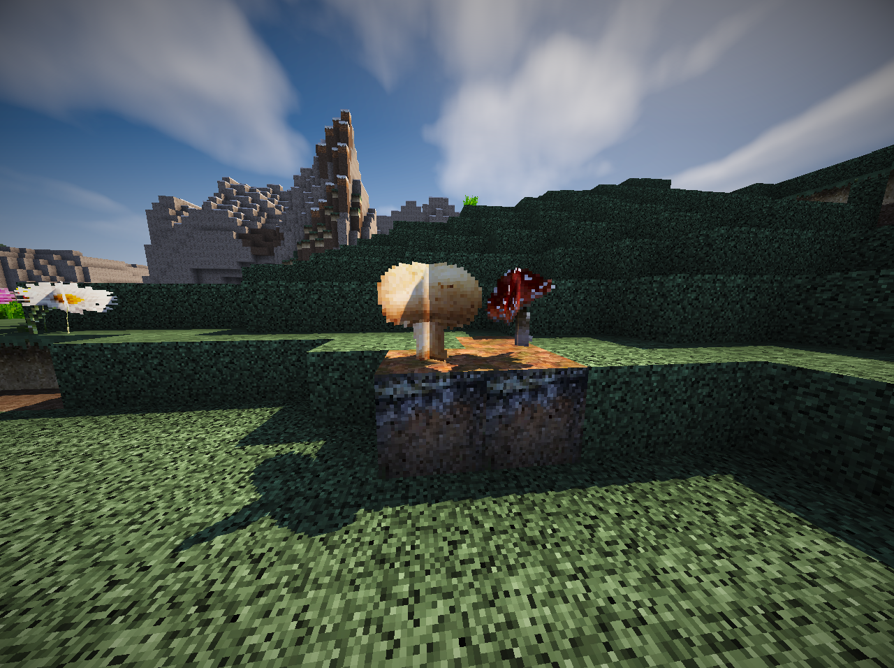 Survival-Beast (Blocks) Minecraft Texture Pack