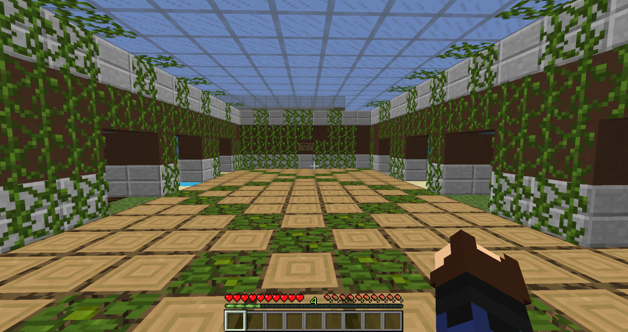 Find the Ore - 1.12 Minecraft Map