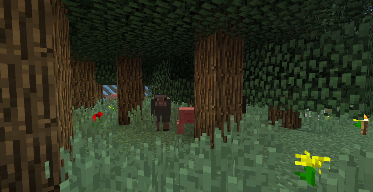 Border Build Minecraft Map