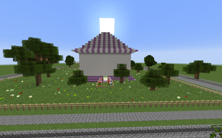 Crazy House! Minecraft Map