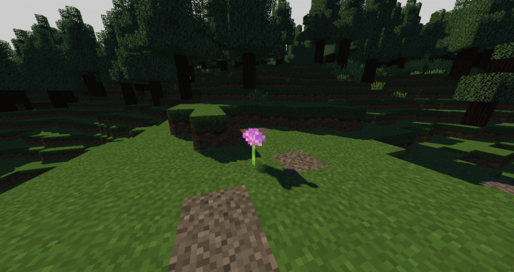 Hi! An Introduction. Minecraft Map