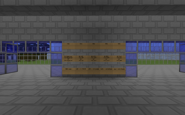 Mineverse Jr Minecraft Server